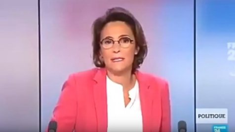 Les Gilets jaunes seraient devenus "une espèce d'écurie de branquignols ...