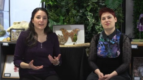 Alice au pays des sciences - Agoravox TV