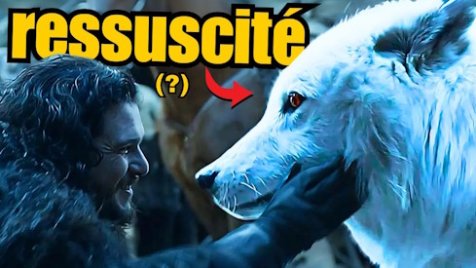 Des scientifiques ressuscitent les loups géants 10.000 ans après leur ...